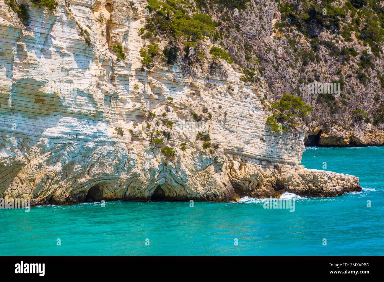 Fantastic limestone cliffs, Gargano peninsula in the Italian boot spur ...