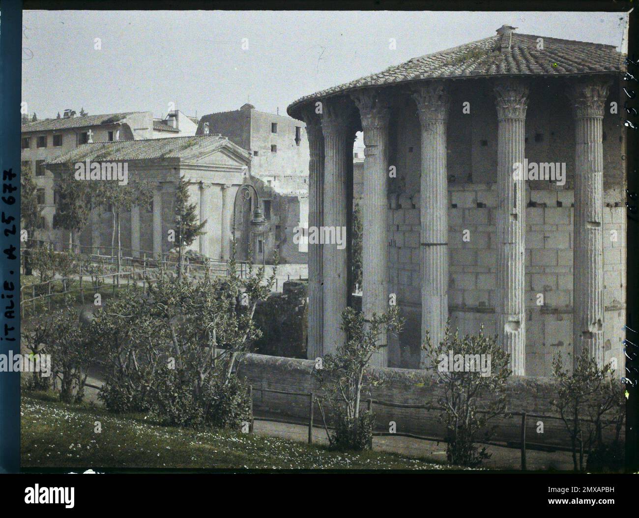 Rome, Italy Temple of Vesta in the foreground, at the bottom left ...