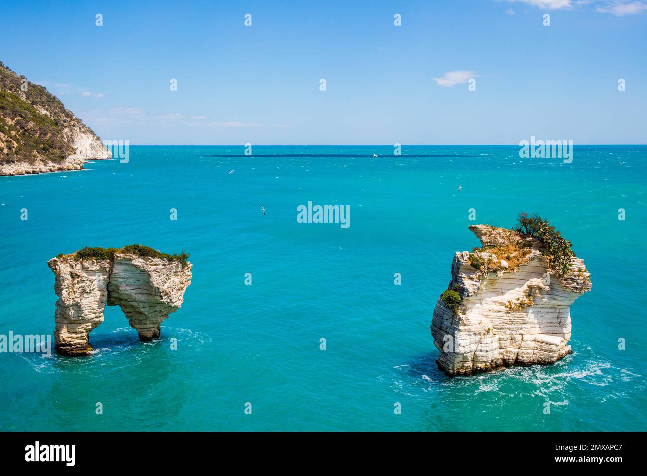 Fantastic limestone cliffs, Gargano peninsula in the Italian boot spur ...