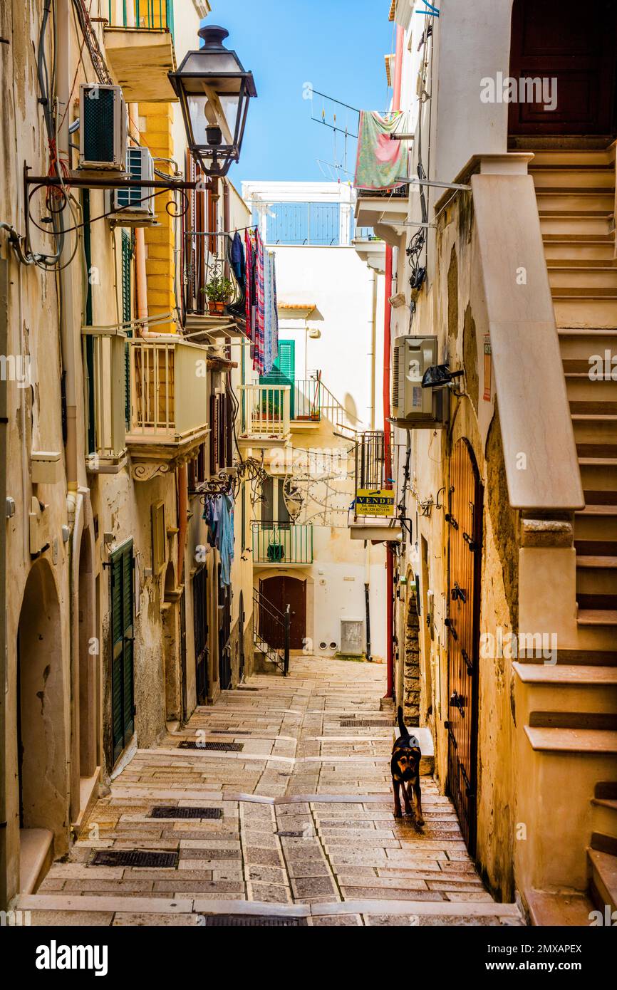 Old town alleys of Vieste, Puglia, Vieste, Puglia, Italy Stock Photo ...