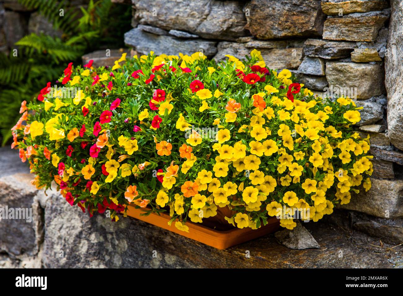 Sonogno, characteristic village with old houses and alleys, Ticino ...