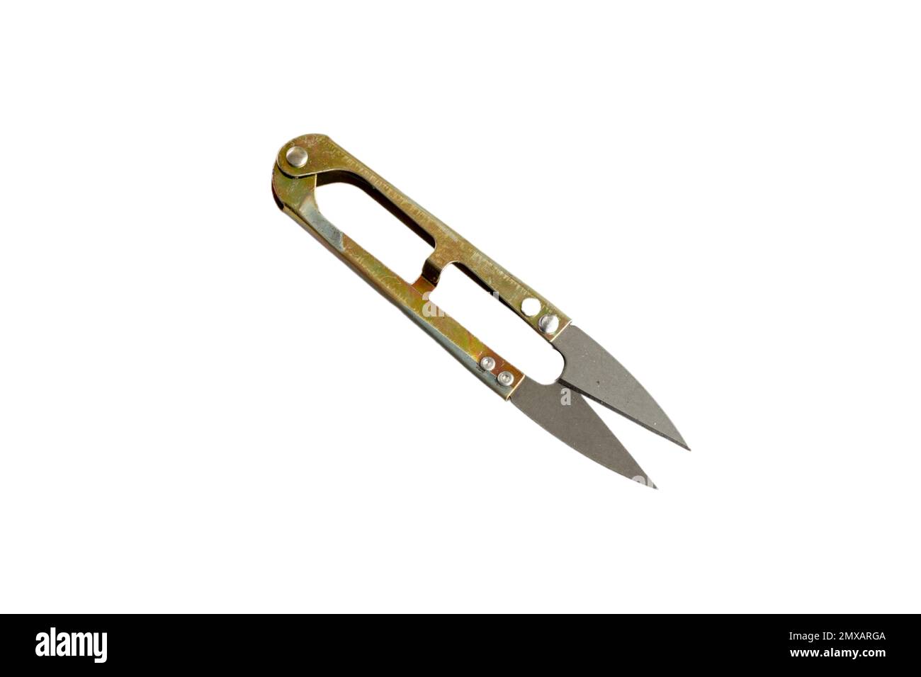 Small garden pruning scissors on isolated white background Stock Photo ...