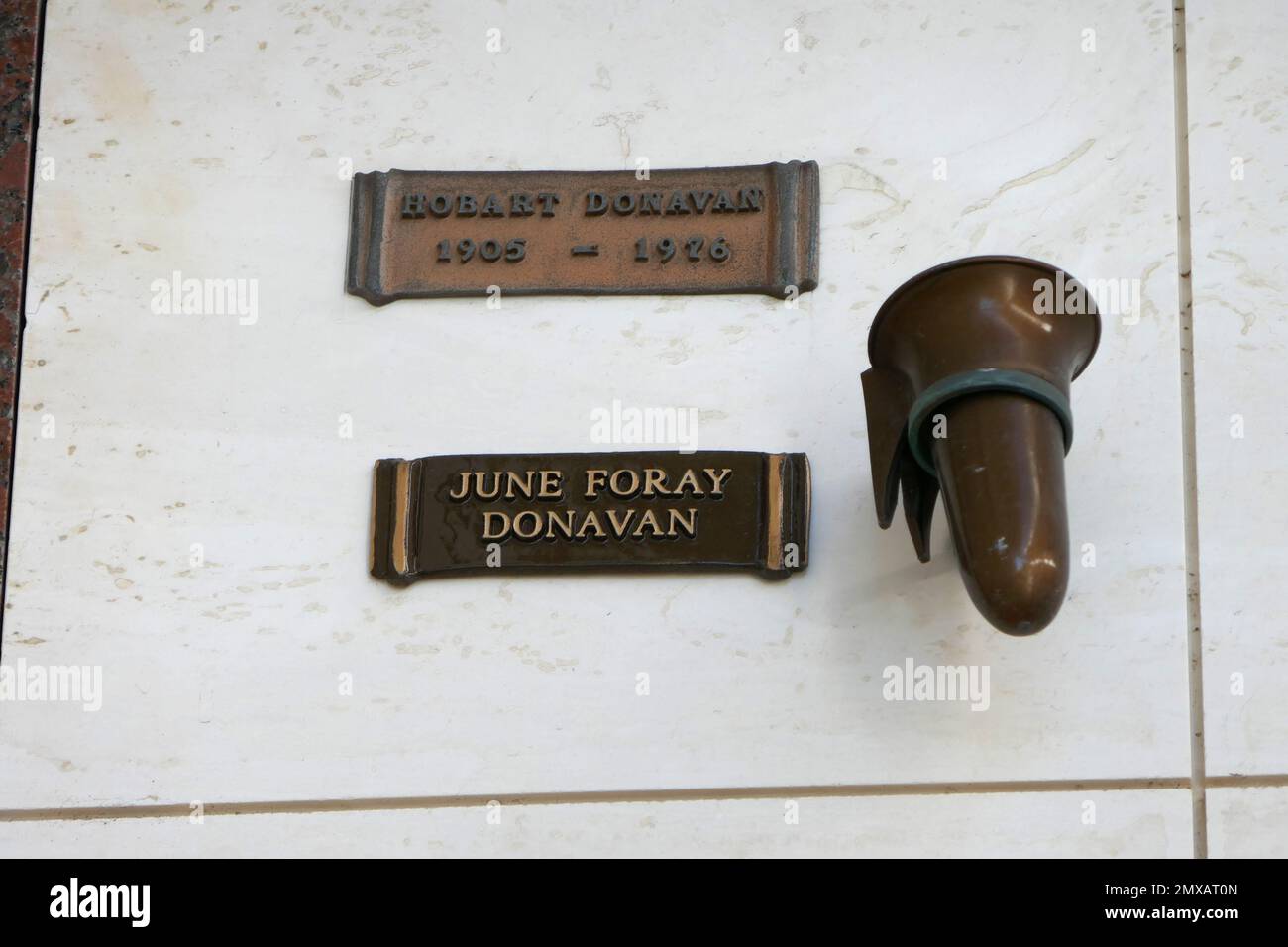 Los Angeles, California, USA 31st January 2023 A general view of ...