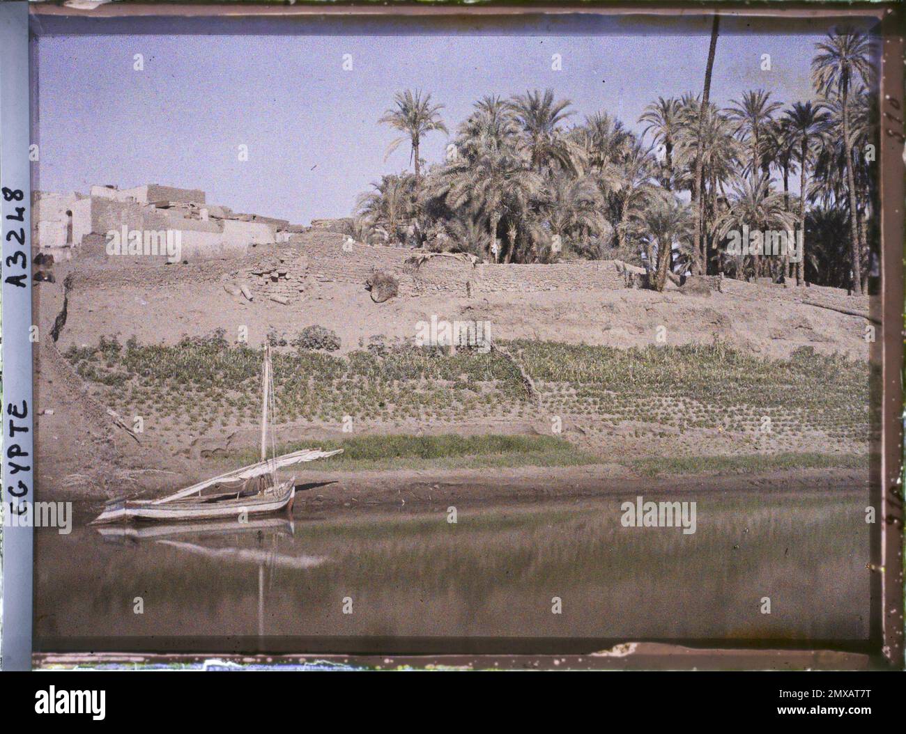 ASSOUAN, Egypt, Africa the island of Elephantine , 1914 - Egypt ...