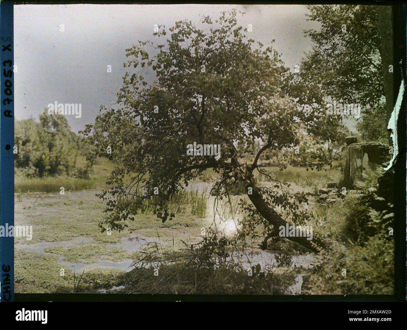 China probably in the western surroundings of Beijing , 1913 - China ...