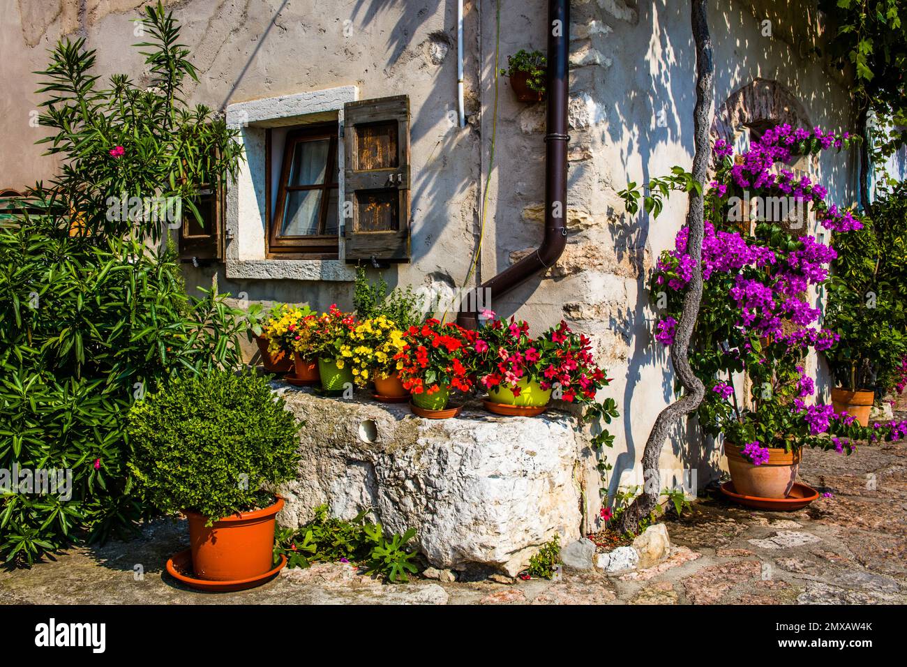 Cassone di Malcesine, Lake Garda, Italy, Cassone di Malcesine, Lake ...