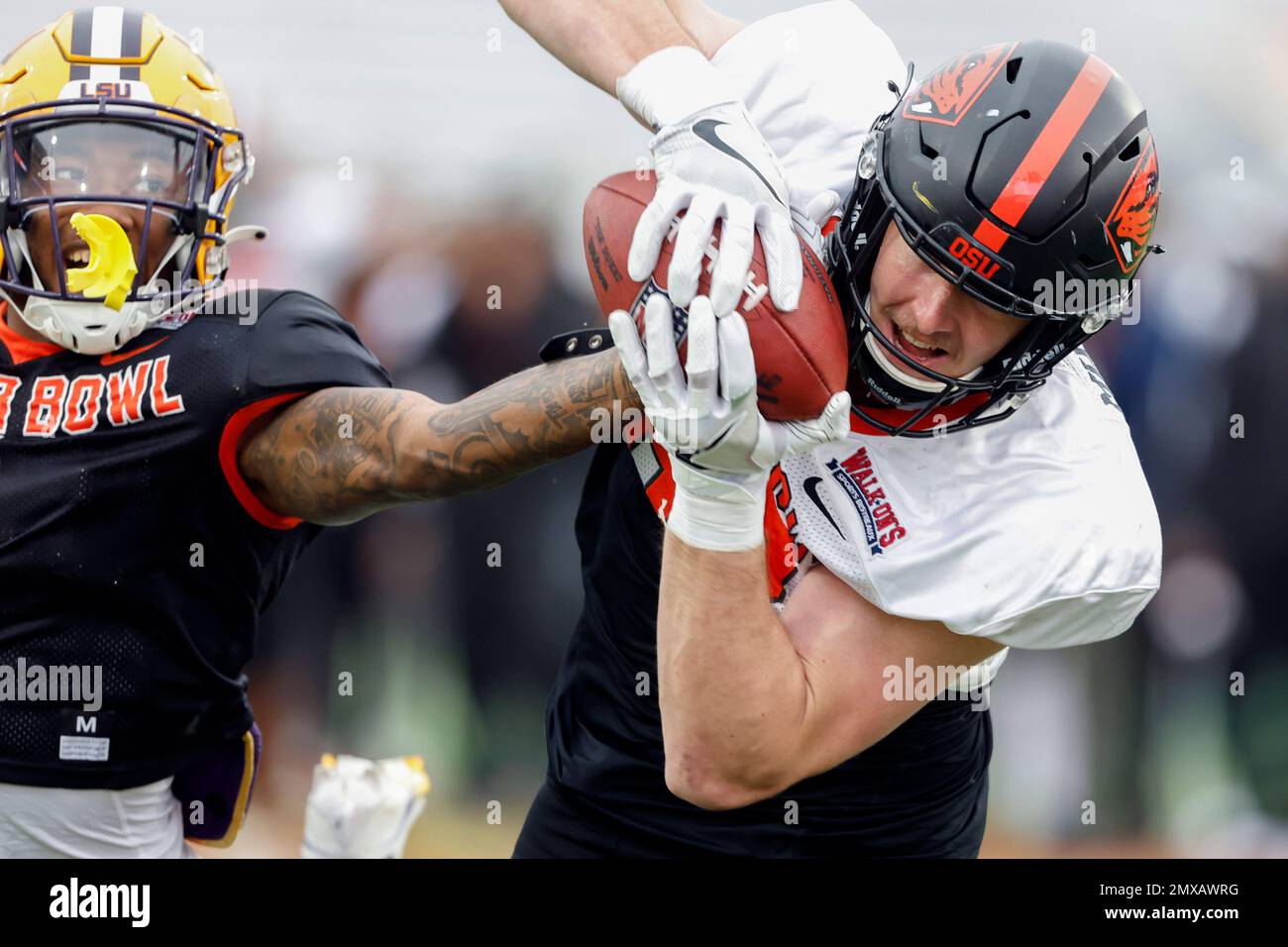 American tight end Luke Musgrave of Oregon State (88) catches a pass ...