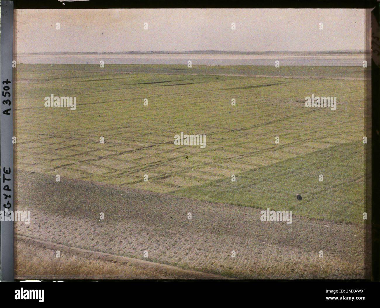 Beni Hassan, Egypt, Africa of cultivated fields on the edge of the Nile ...