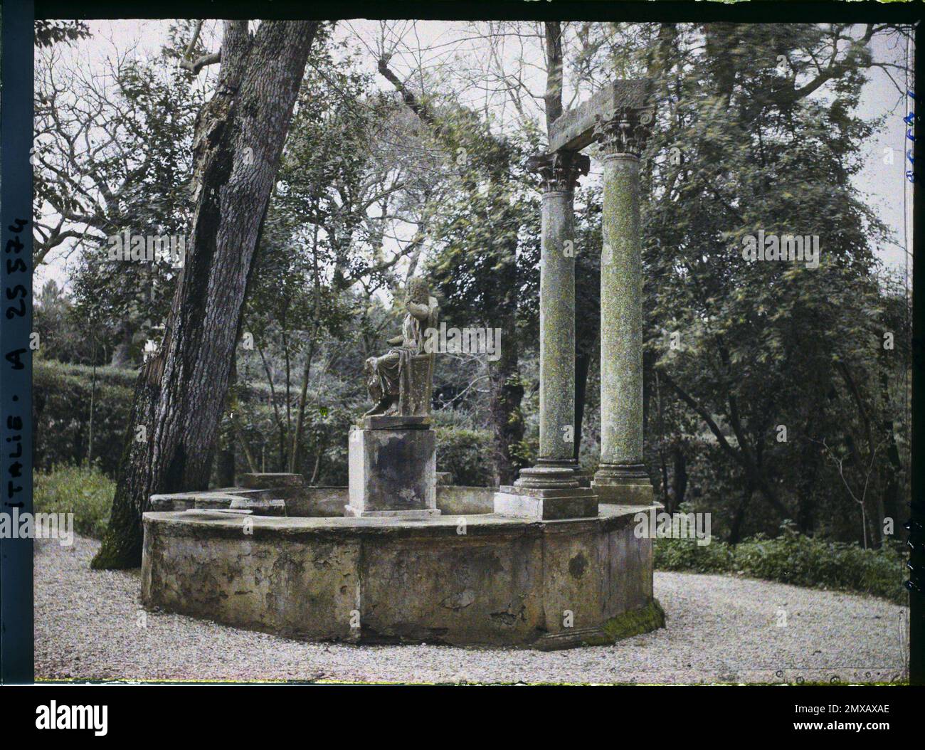 Statue botanical garden sculpture column art italy rome vatican hi-res ...