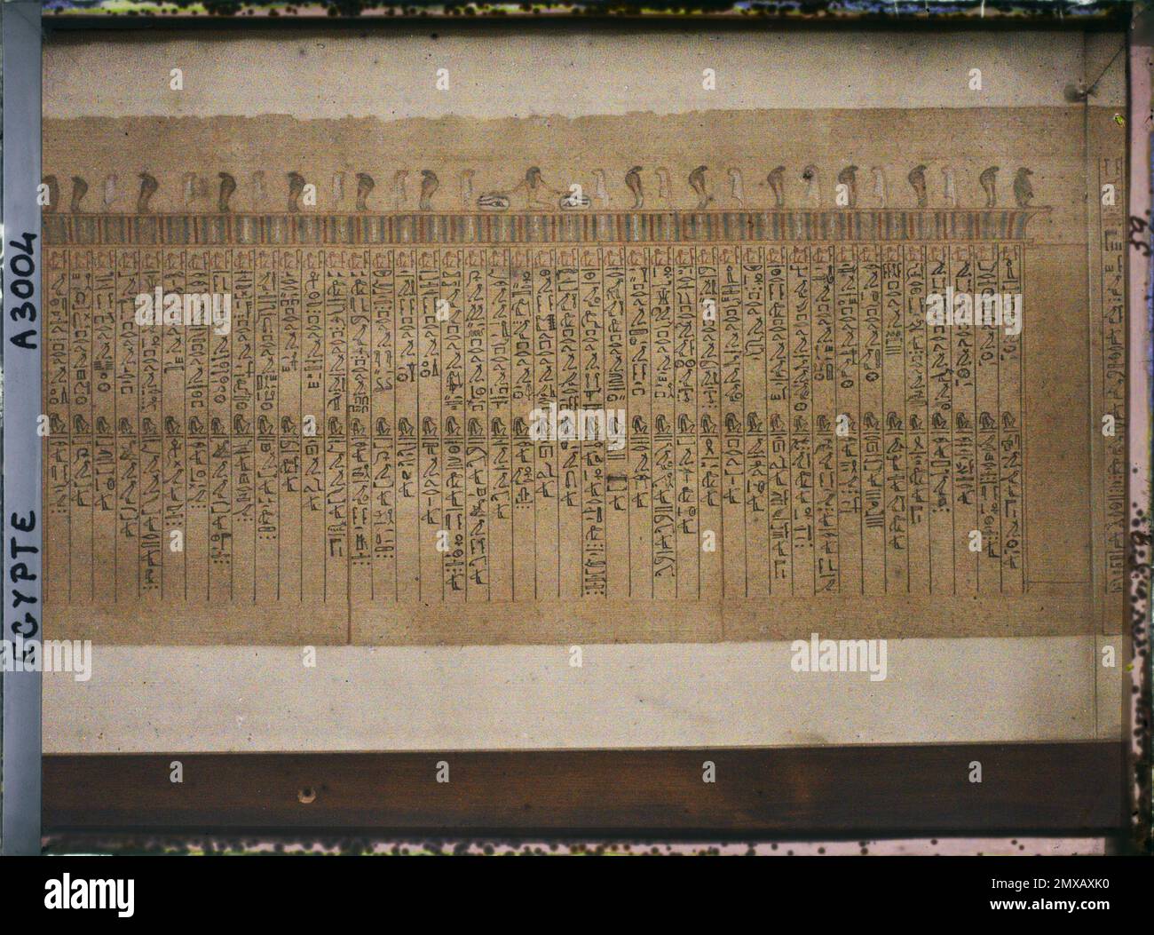 Cairo, Egypt, Africa Papyrus of the Book of Dead in a showcase of the ...