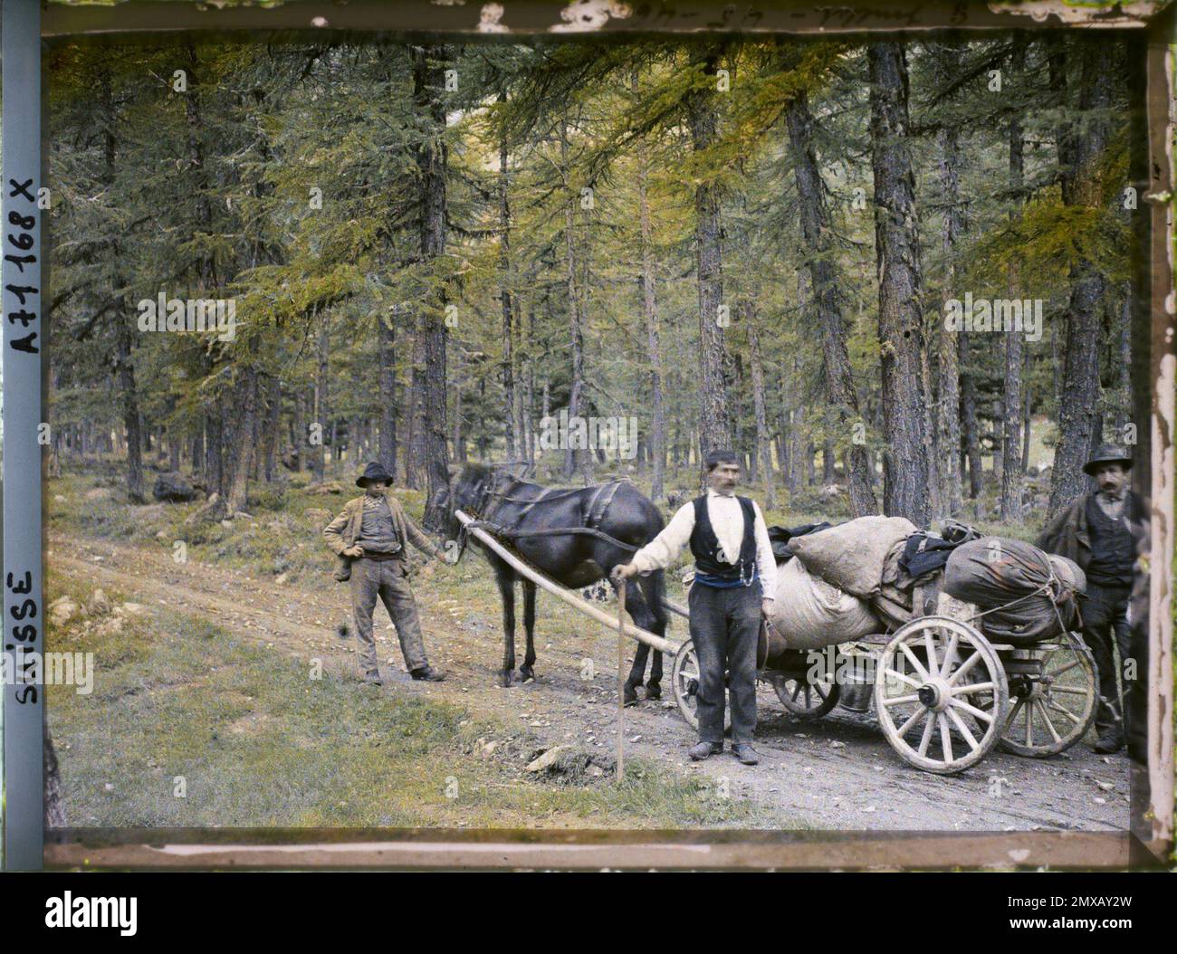 Charrette dans hi-res stock photography and images - Alamy