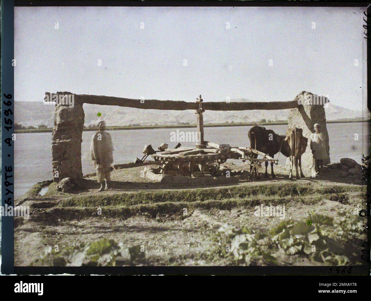 Near Louqsor, Egypt, Africa Sakiéh in B? Uf by the Nile , 1918 - Near ...