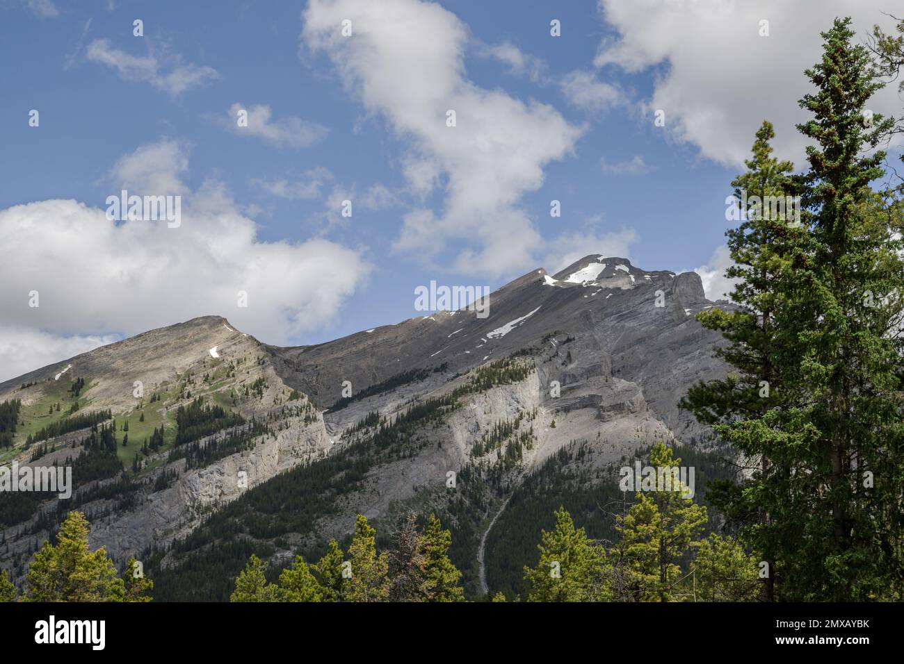 Mountain landscape - coniferous forest, beautiful blue sky with clouds ...