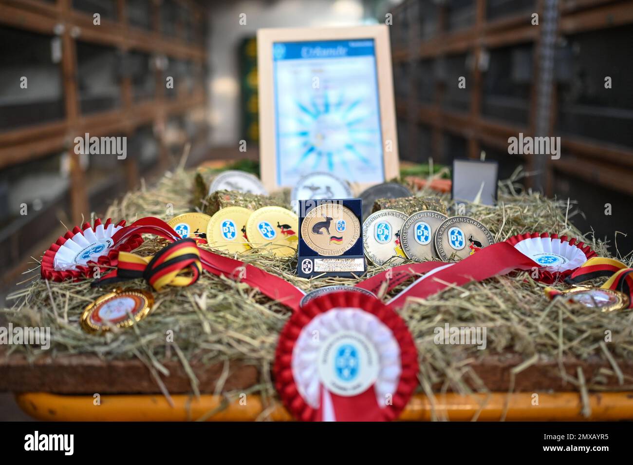 Moormerland, Germany. 01st Feb, 2023. The awards that Germany's best ...