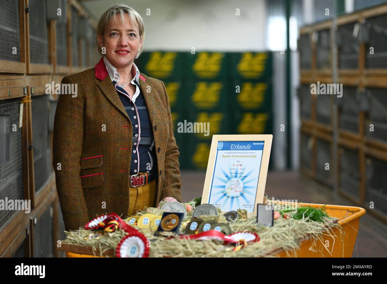 Rabbit breeding hi-res stock photography and images - Alamy
