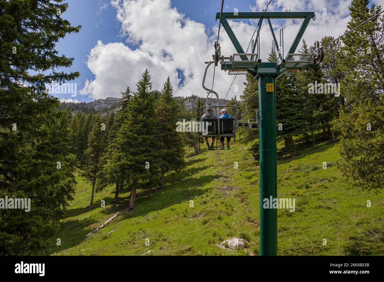 Mountain landscape - coniferous forest, beautiful blue sky with clouds ...