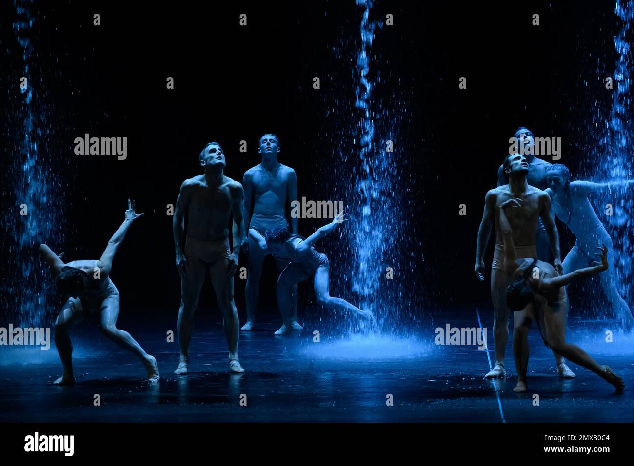 Magdeburg, Germany. 02nd Feb, 2023. The ballet from the Magdeburg ...