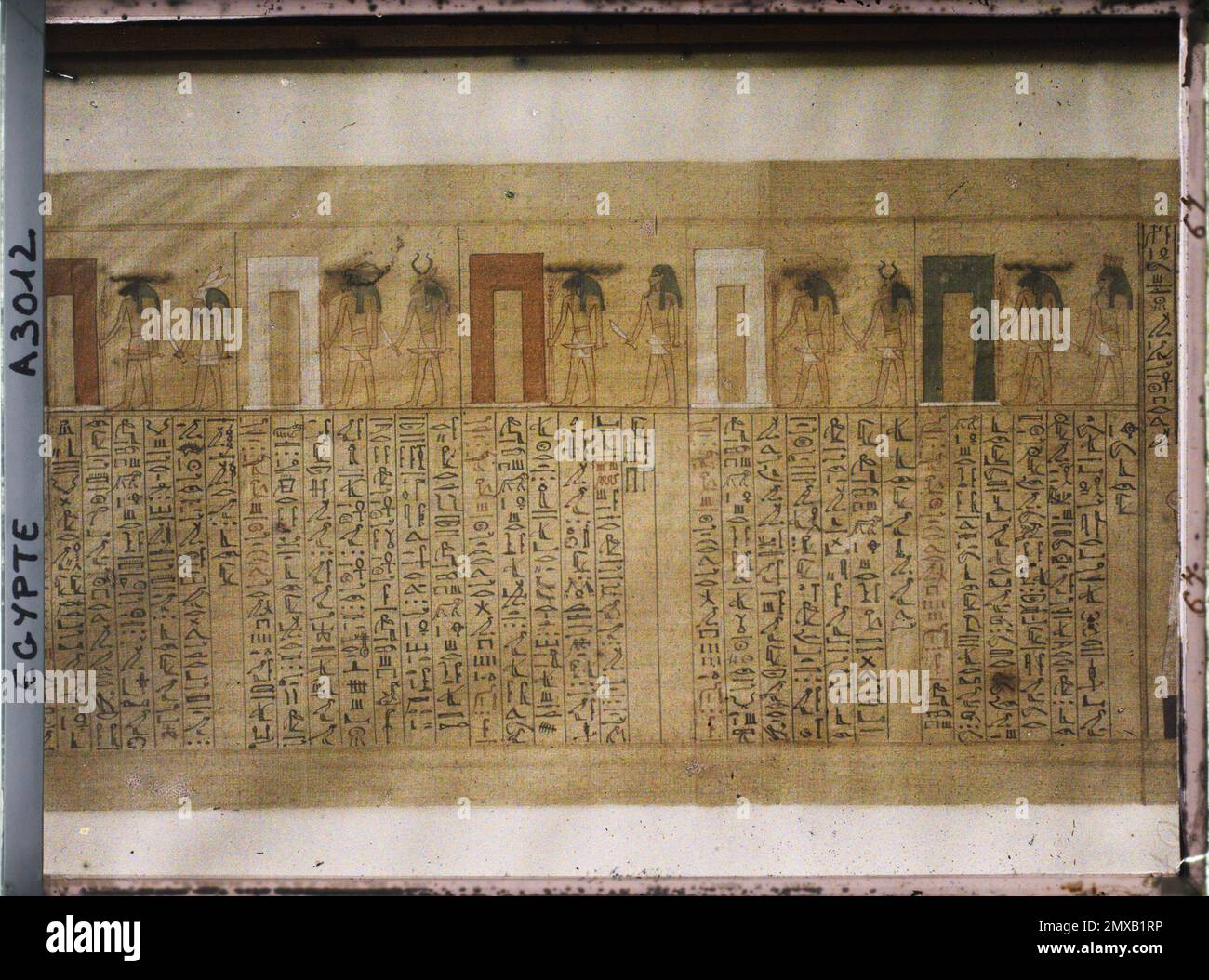 Museum calligraphy painting legend myth egyptian polytheism ant hi-res ...