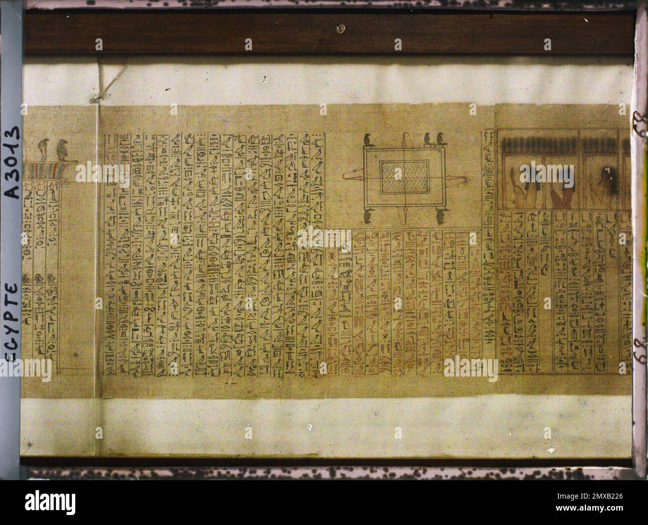 Cairo, Egypt, Africa Papyrus of the Book of Dead in a showcase of the ...