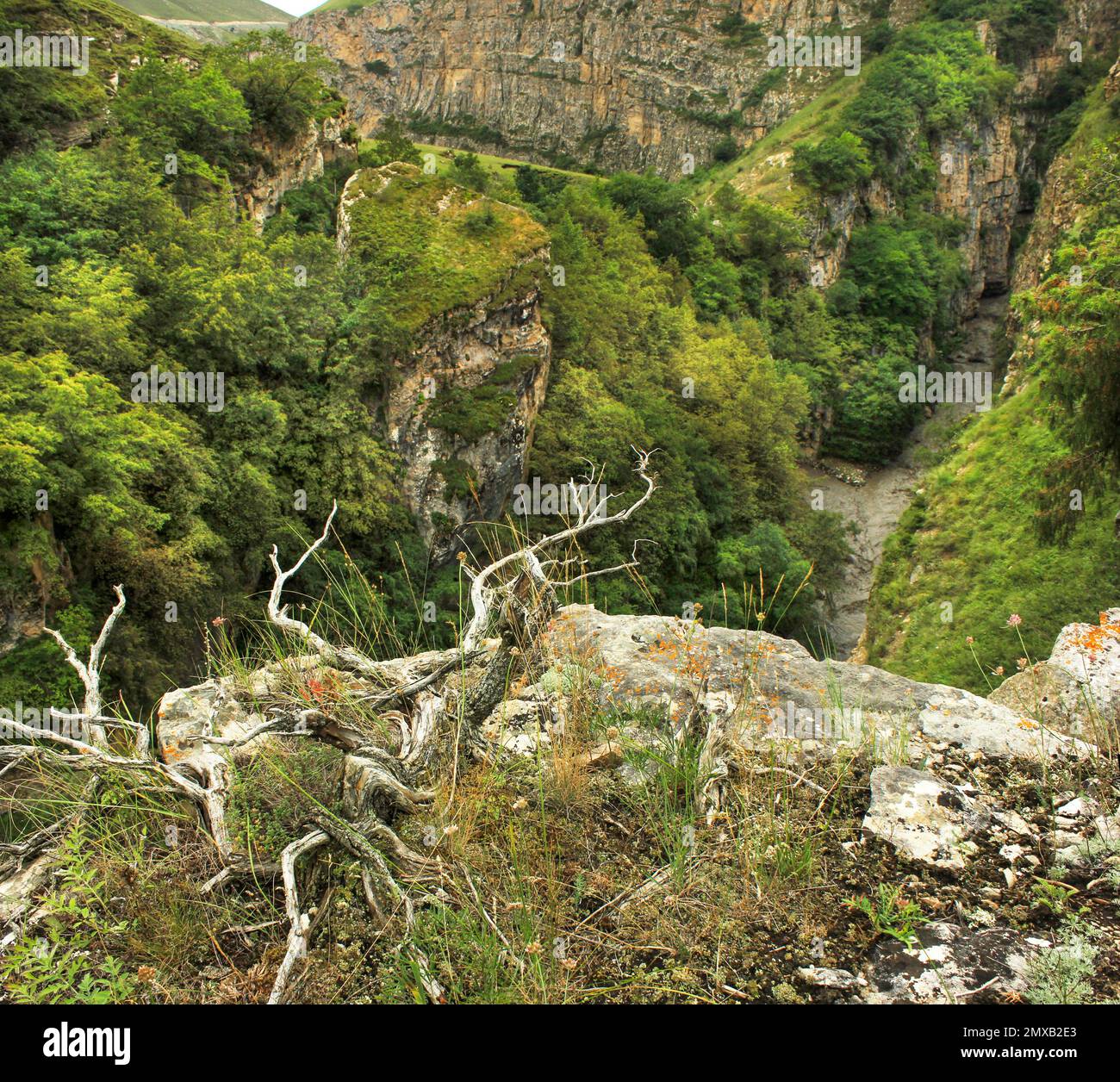 Beautiful gorge in the mountains. Gryz village. Guba region. Azerbaijan ...