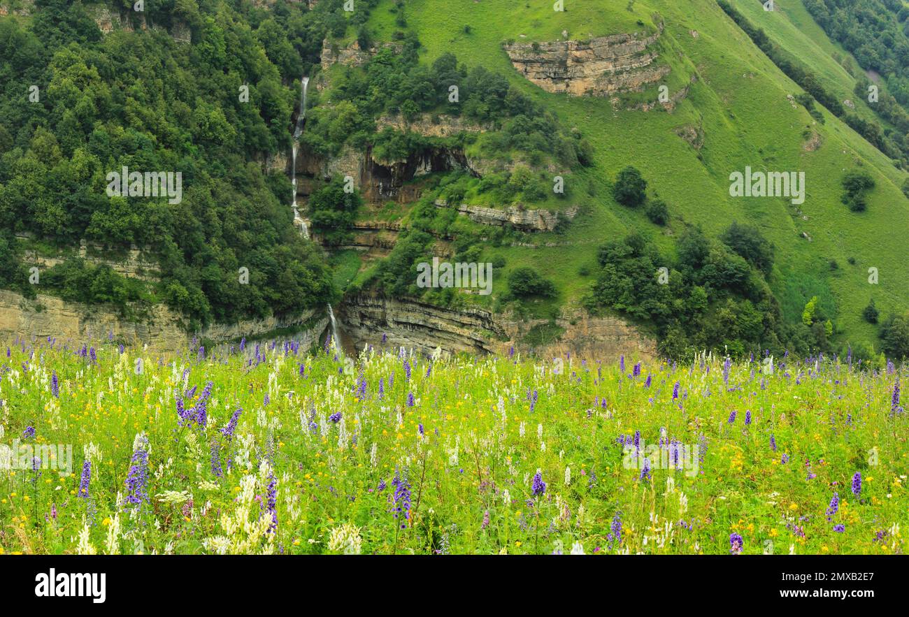 Azerbaijan. Beautiful waterfall in the mountains. Kusar district. Laza ...