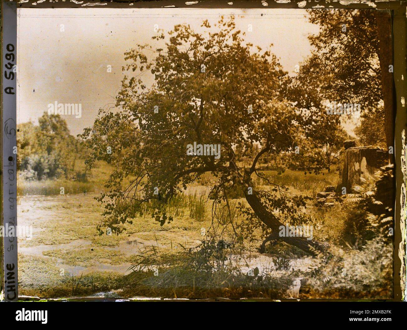 China probably in the western surroundings of Beijing , 1913 - China ...
