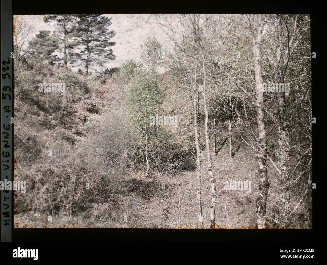 Le Vigen, Haute-Vienne, France the old pit of the Leycuras mine , 1929 ...