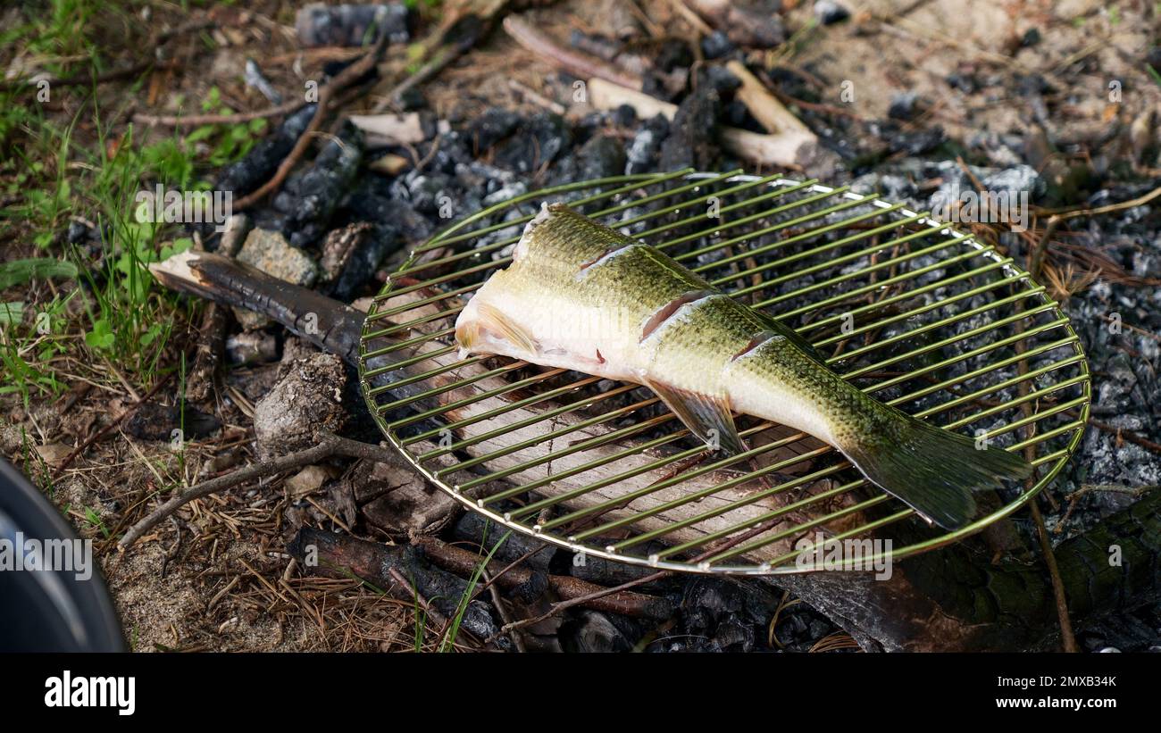 Whole raw fish on the charcoal BBQ grill in camping in summer. Fishing ...