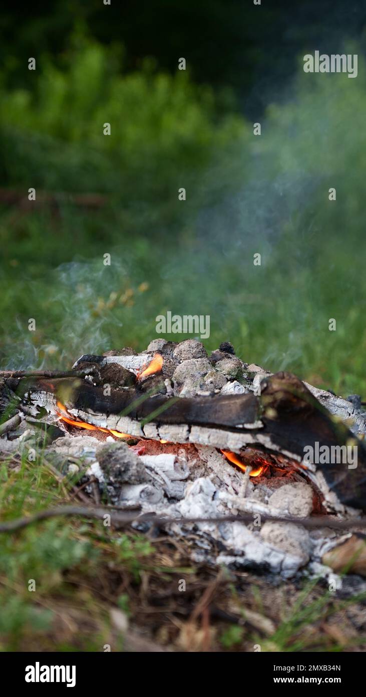 Red flames of teepee campfire on the ground at campsite in wild at ...