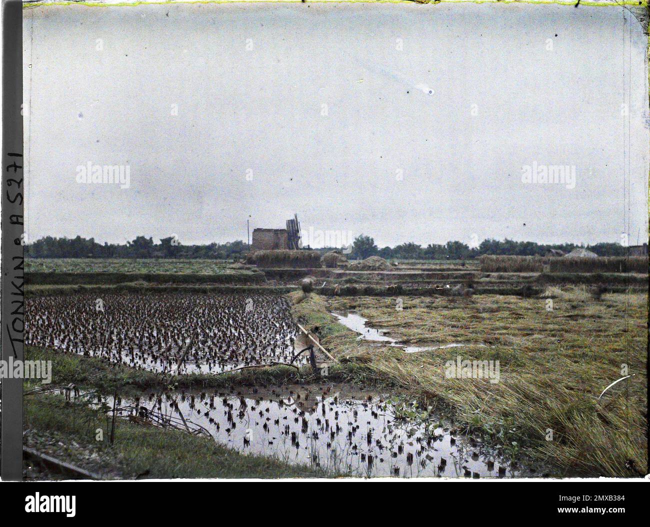 Tonkin, Indochina a rice field after the harvest , Léon Busy in ...