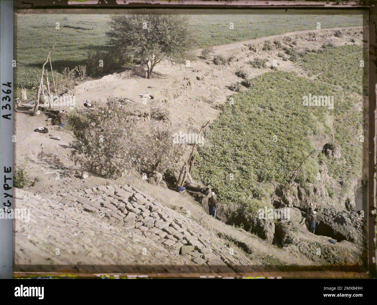 Kom Ombo, surroundings of Assouan, Egypt, Africa Using Chadouf in the ...