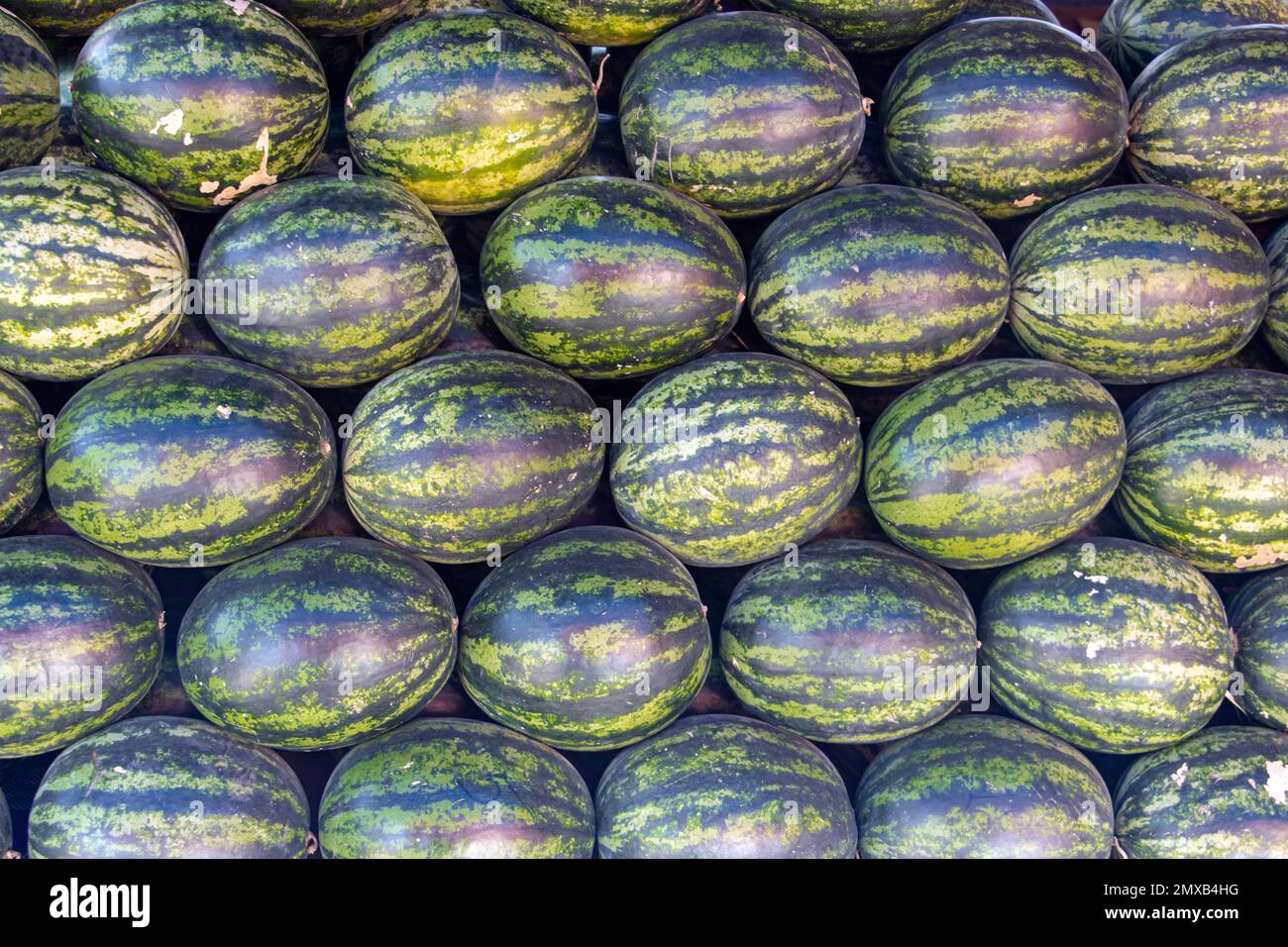 Watermelon sale farm in hi-res stock photography and images - Alamy