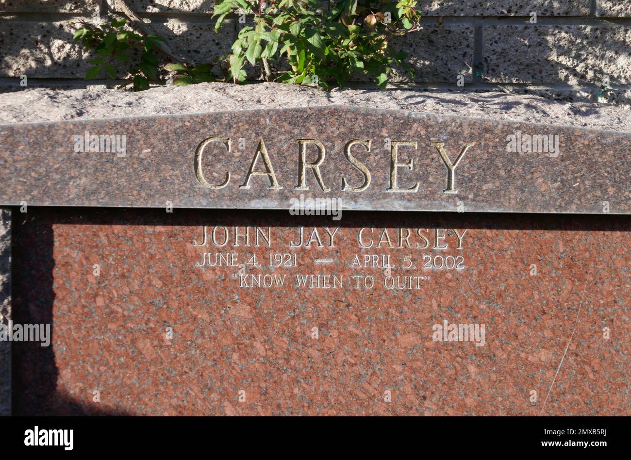 Los Angeles, California, USA 31st January 2023 A general view of atmosphere of Writer/producer ...