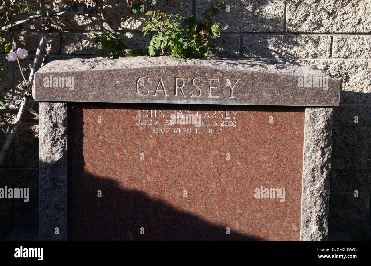 Los Angeles, California, USA 31st January 2023 A general view of atmosphere of Writer/producer ...