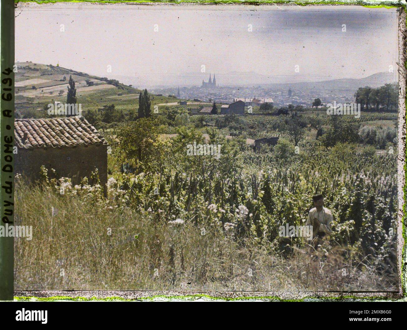 Human starries hi-res stock photography and images - Alamy