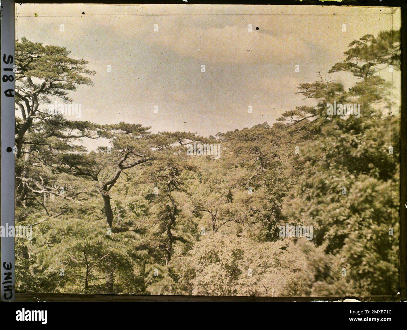 Surroundings of Moukden, China Fuling ("tomb of bliss"), also called ...