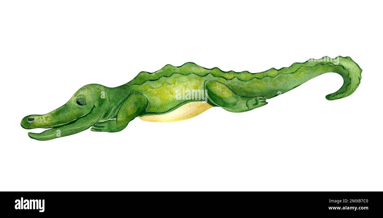 Cartoon happy crocodile hi-res stock photography and images - Alamy