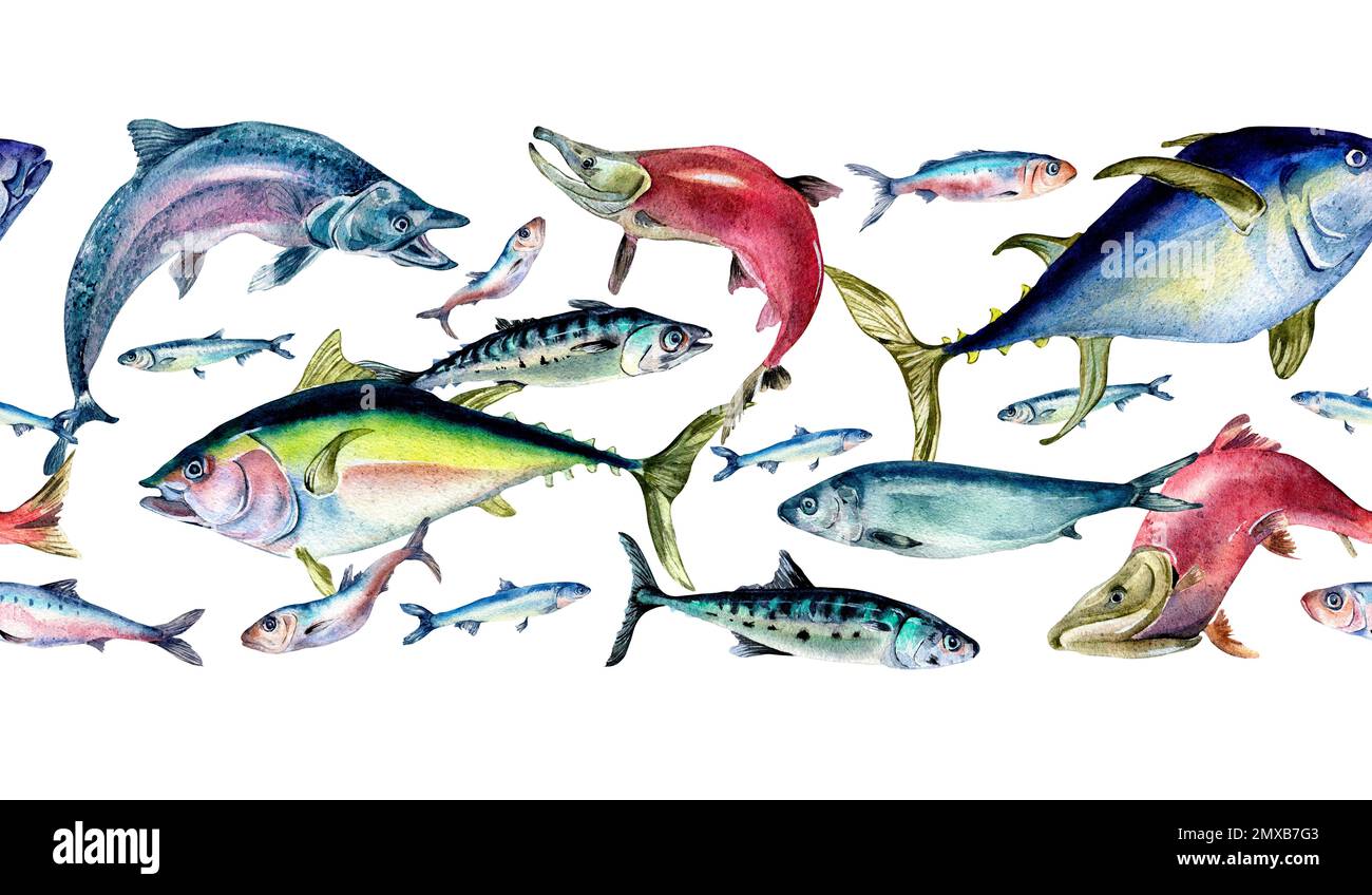 Seamless board of various fresh sea fish watercolor illustration ...
