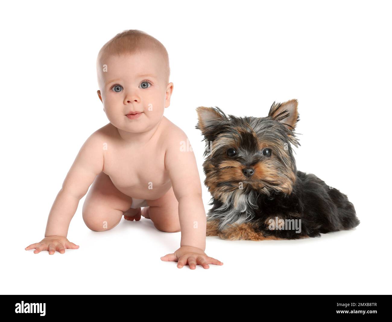 Cute little baby with his pet on white background Stock Photo - Alamy