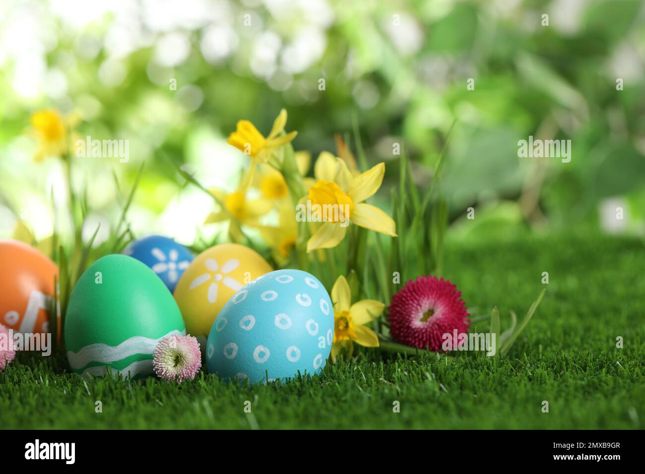 Colorful Easter eggs and flowers in green grass. Space for text Stock ...