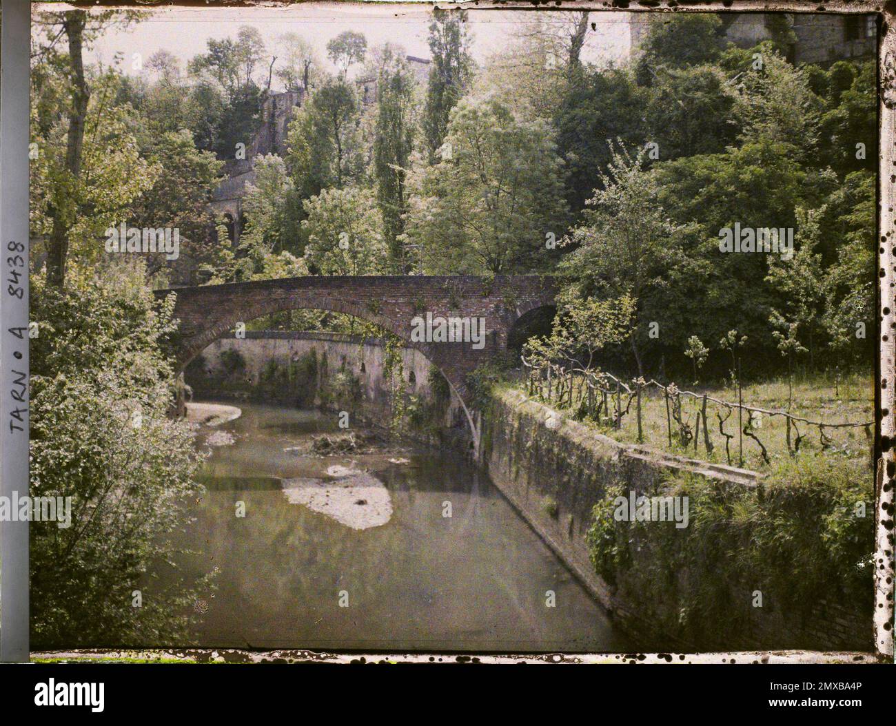 Casels hi-res stock photography and images - Alamy