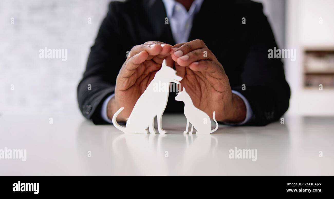 Secure dog hi-res stock photography and images - Alamy