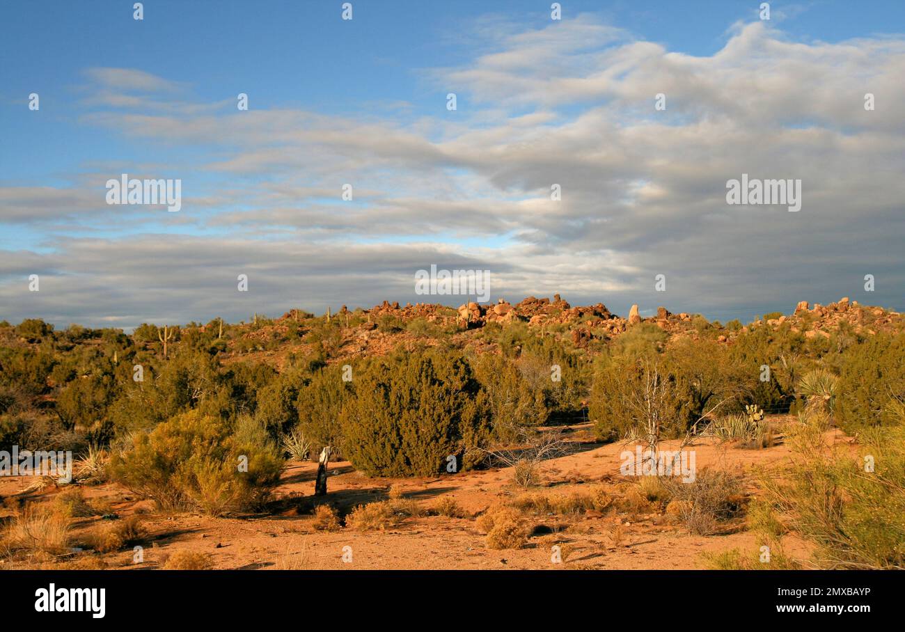 wide desert landscape arizona Stock Photo - Alamy