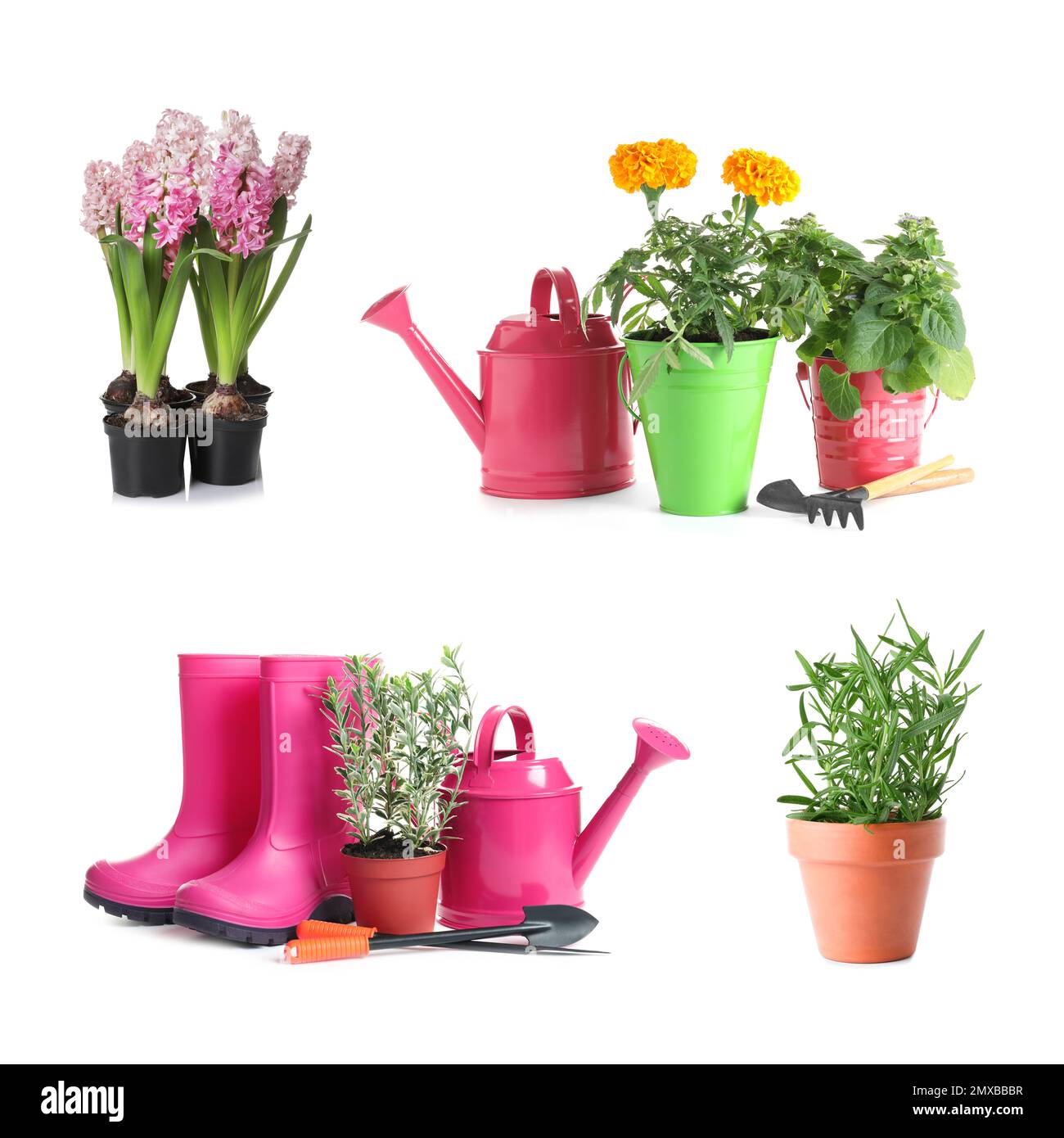 Set with different gardening tools and plants on white background Stock ...