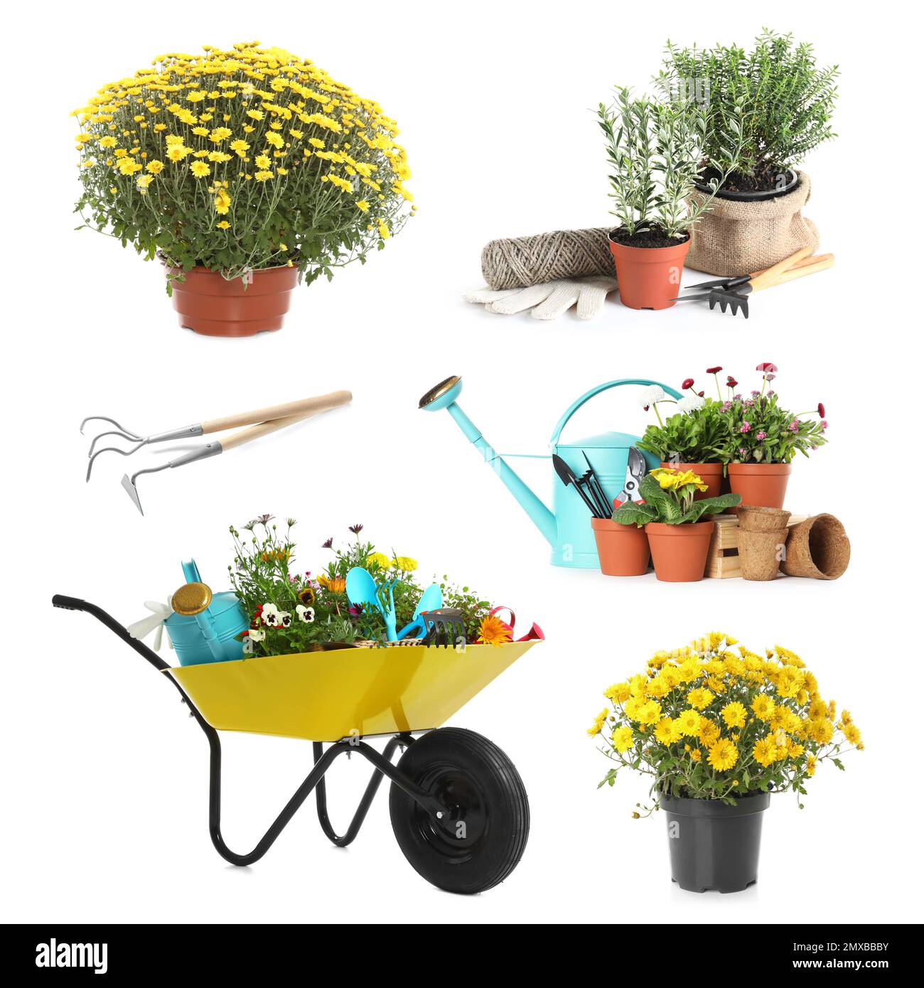 Set with different gardening tools and plants on white background Stock ...