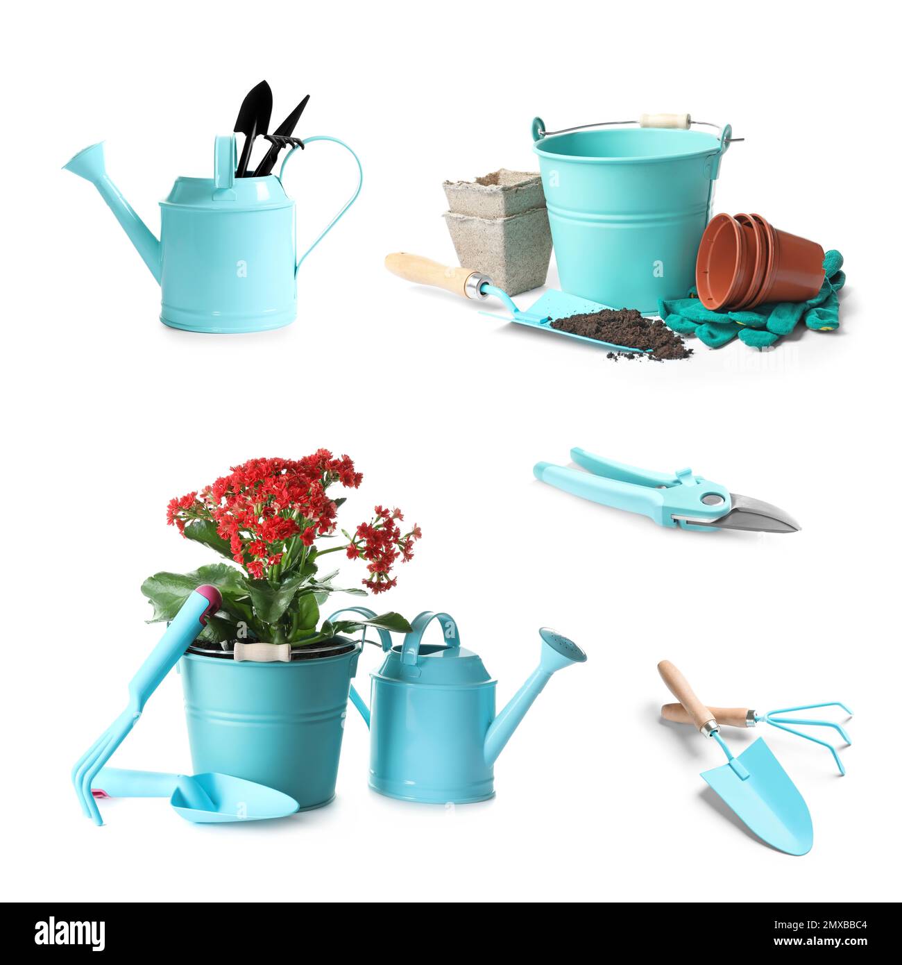 Set with different gardening tools and plants on white background Stock ...