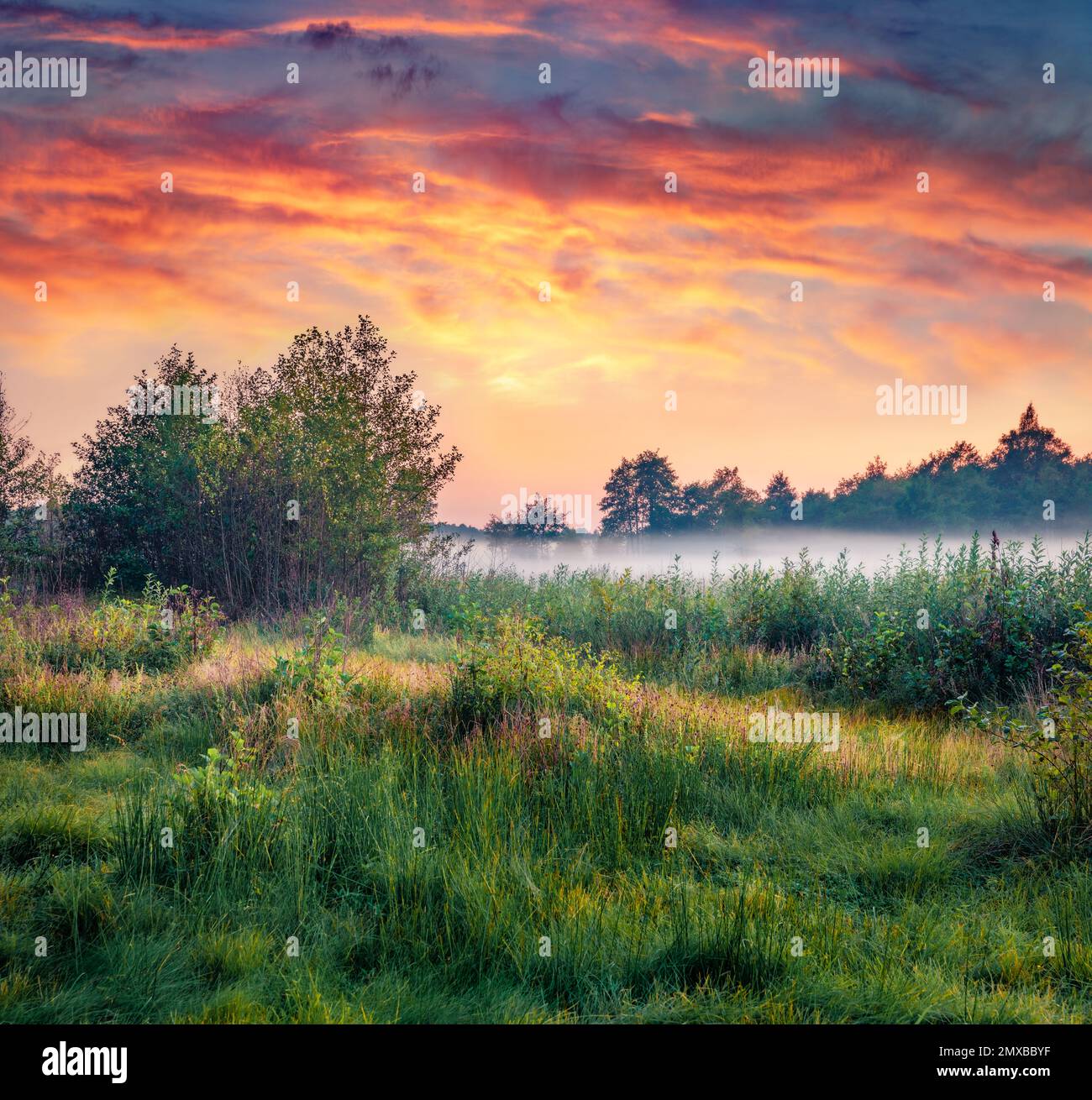 Mystical summer scenery. Wonderful summer sunset on Ukrainian ...