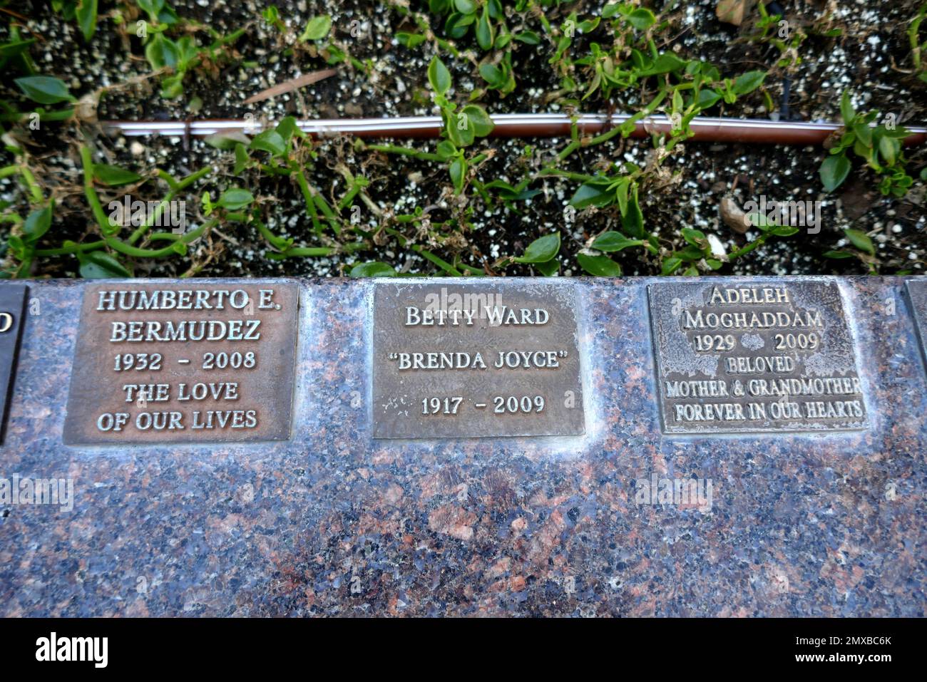 Los Angeles, California, USA 31st January 2023 A general view of atmosphere of Actress Betty ...