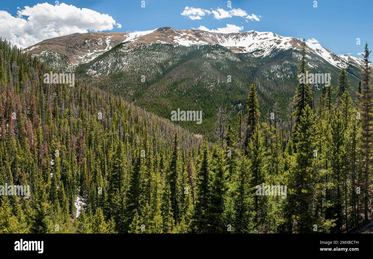 Colorado's Englemann Peak, as seen from the Berthoud Pass highway Stock ...