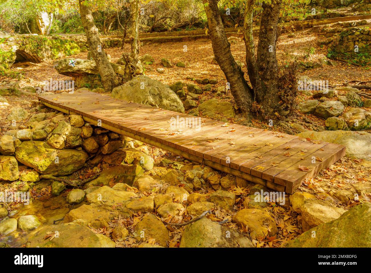 View of rocks, trees, water stream, fall foliage, footbridge, and trail ...
